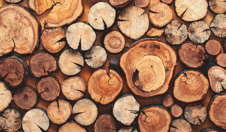 Natural Wood Boards and Panels for Joinery | Chabros